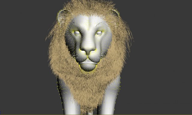 lion 3D Model in Cat 3DExport