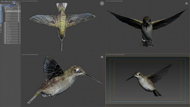 Animated hummingbird 3D Model in Bird 3DExport