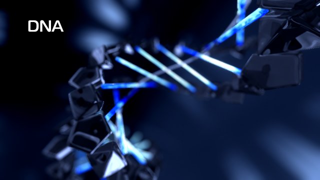 dna animated 3D Model in Special Effects 3DExport