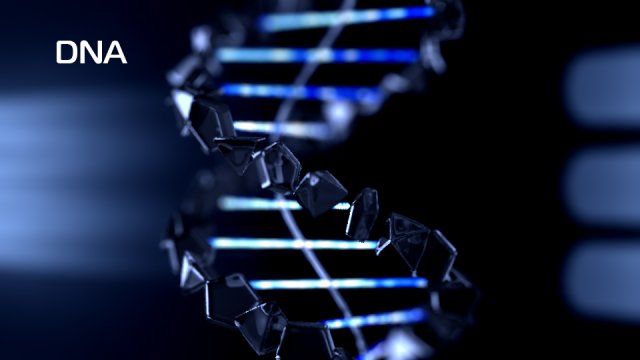 dna animated 3D Model in Special Effects 3DExport