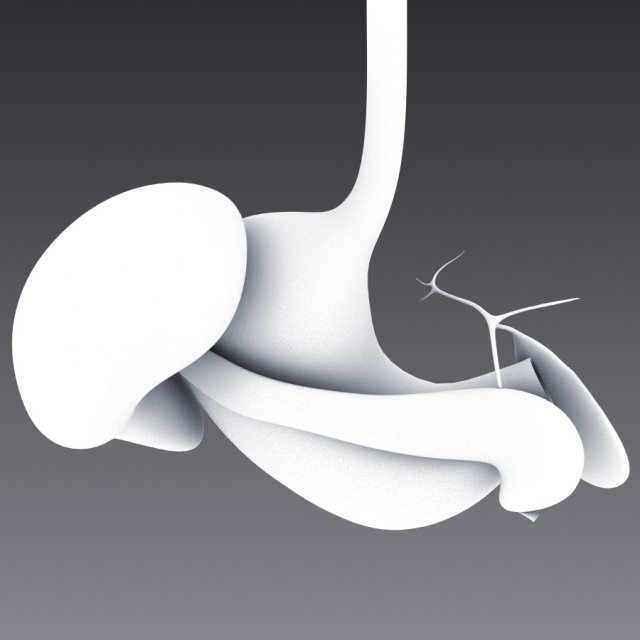 human anatomy animated skeleton internal organs 3D Model in Anatomy ...