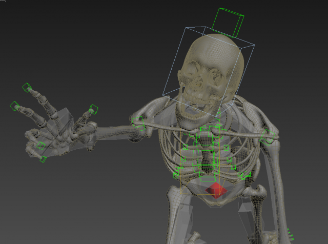 human skeleton rigged 3D Model in Anatomy 3DExport
