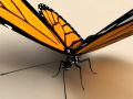 monarch 3D Models in Insects 3DExport