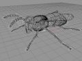 Wasp 3D Model in Amphibians 3DExport