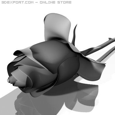 rose 3D Models in Plants 3DExport