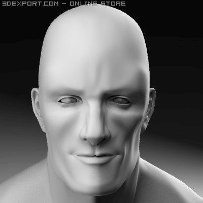 muscular male 3D Model in Man 3DExport