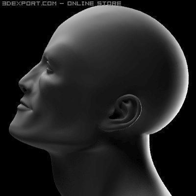 muscular male 3D Model in Man 3DExport
