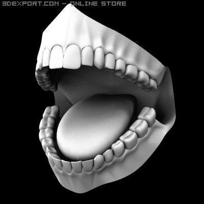 Muscular Male 3D Model in Man 3DExport