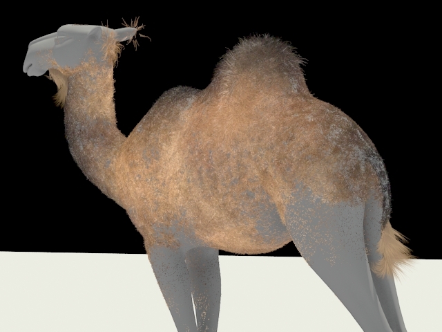 camel 3D Model in Wildlife 3DExport