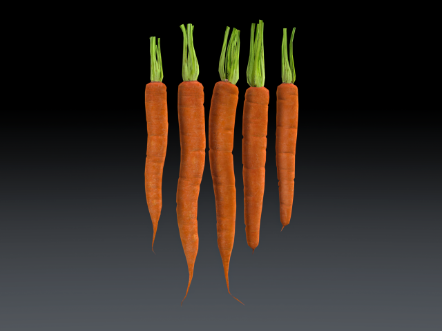 Carrots 3D Model in Vegetable 3DExport