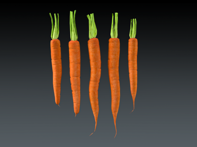 Carrots 3D Model in Vegetable 3DExport