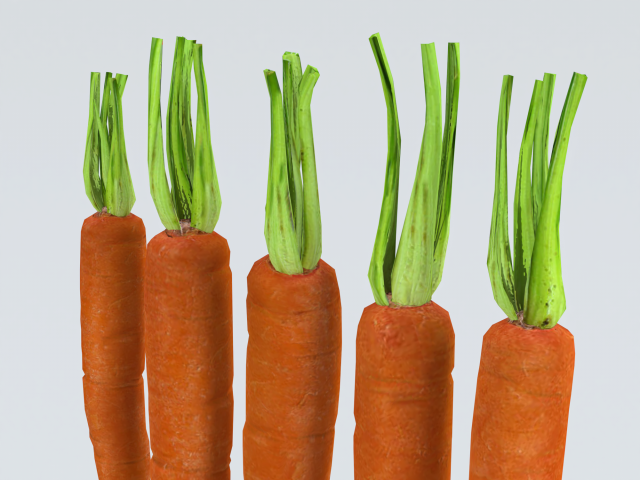 Carrots 3D Model in Vegetable 3DExport