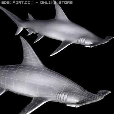 sea life collection 3D Model in Amphibians 3DExport