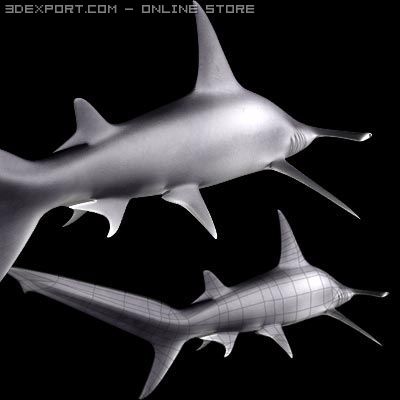 sea life collection 3D Model in Amphibians 3DExport
