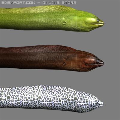 sea life collection 3D Model in Amphibians 3DExport