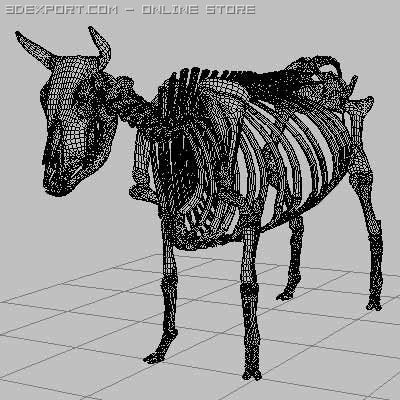 cow skeleton 3D Model in Amphibians 3DExport