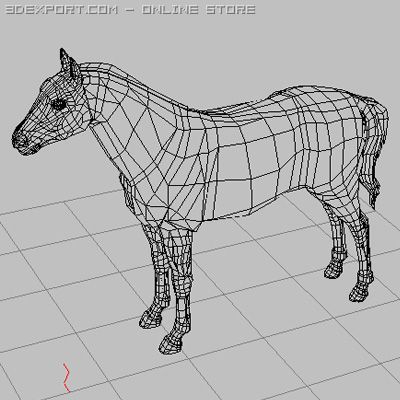 horse anatomy 3D Model in Amphibians 3DExport