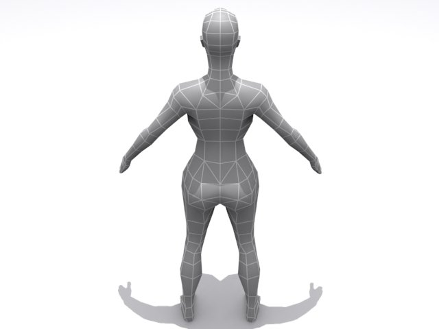 female base 3D Model in Woman 3DExport