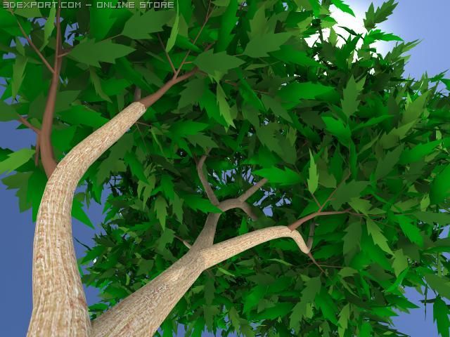 thin tree2 3D Model in Plants 3DExport