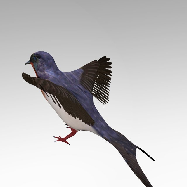 swallow 3D Model in Bird 3DExport