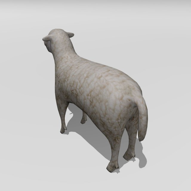 lamb 3D Model in Sheep 3DExport