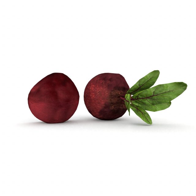 beetroot 3D Model in Vegetable 3DExport