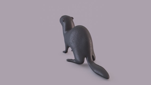 ferret 3D Print Model in Animals 3DExport