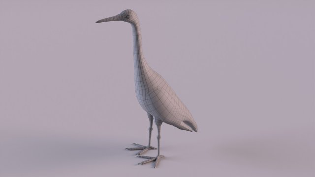 Grey Heron 3D Model in Bird 3DExport