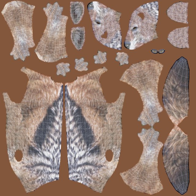 Jackal 3D Model in Wildlife 3DExport