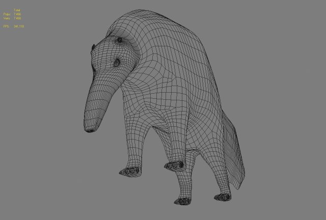 anteater 3D Model in Wildlife 3DExport