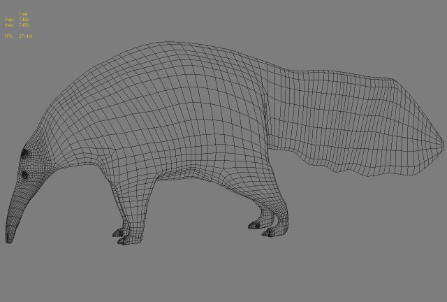 anteater 3D Model in Wildlife 3DExport