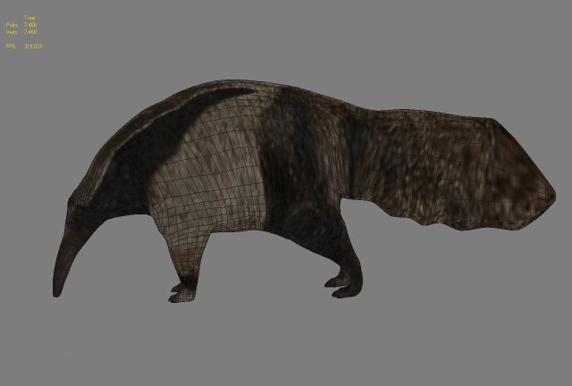anteater 3D Model in Wildlife 3DExport