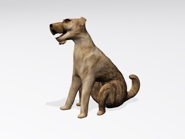 sitting dog 3D Model in Dog 3DExport