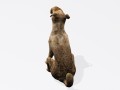 sitting dog 3D Models in Dog 3DExport