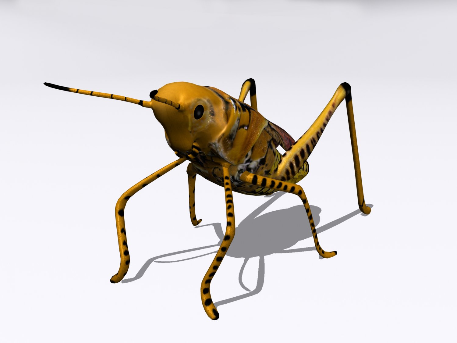 Grasshopper 3D Model in Insects 3DExport