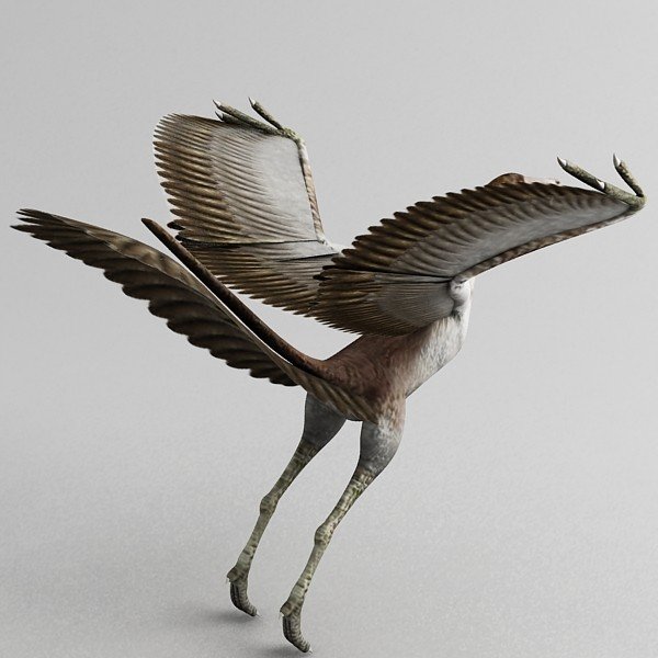 Archaeopteryx 3D Model in Dinosaur 3DExport