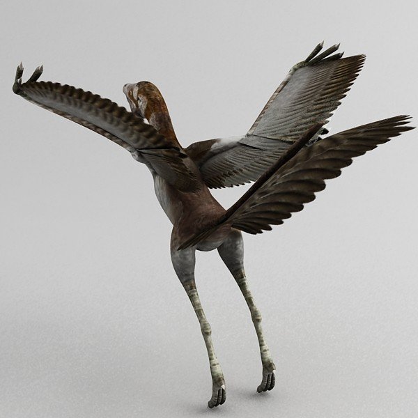 Archaeopteryx 3D Model in Dinosaur 3DExport