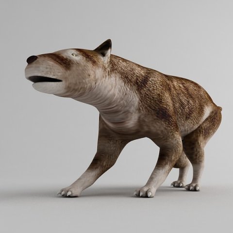 hemicyon 3D Model in Dinosaur 3DExport