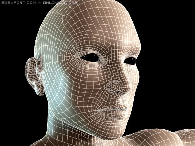 basic male figure rigged 3D Model in Man 3DExport