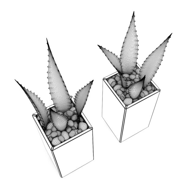 double aloe plant 3D Model in Small Plants 3DExport