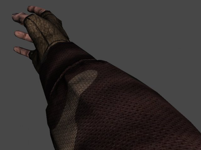 fps hand 3D Model in Anatomy 3DExport