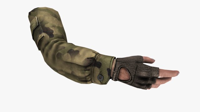 fps hand 3D Model in Anatomy 3DExport