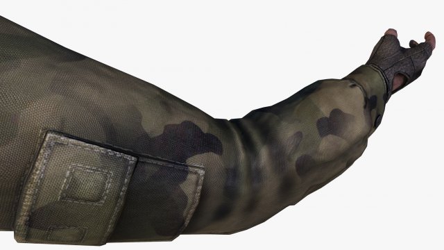 fps hand 3D Model in Anatomy 3DExport