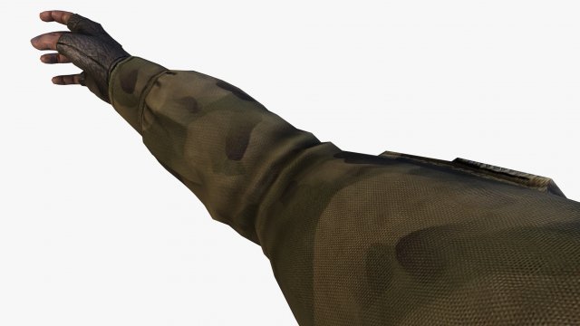 fps hand 3D Model in Anatomy 3DExport