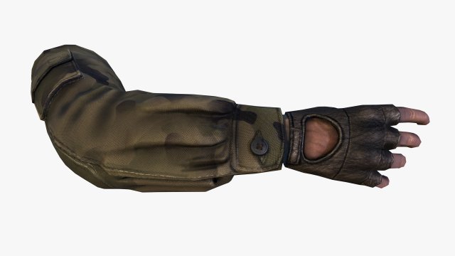 fps hand 3D Model in Anatomy 3DExport