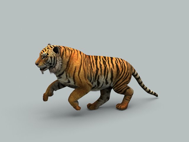 tiger 3D Model in Wildlife 3DExport