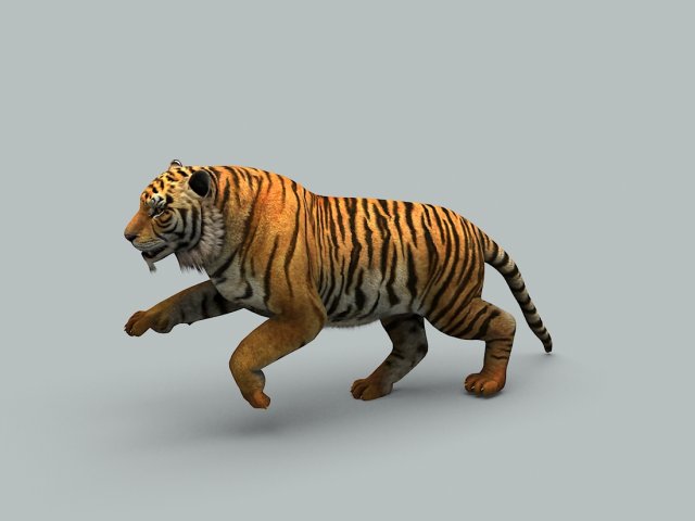 tiger 3D Model in Wildlife 3DExport