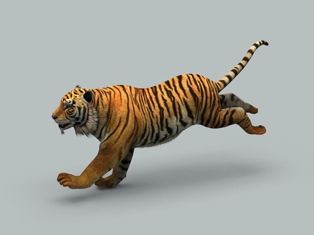 tiger 3D Model in Wildlife 3DExport