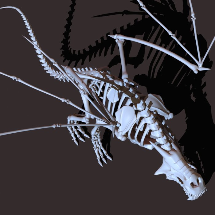 Dragon Skeleton 3D Model in Fantasy 3DExport