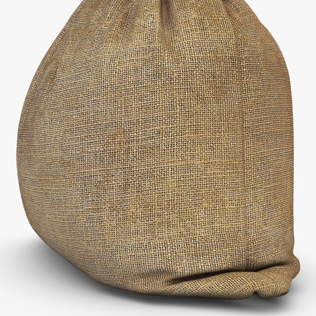 sack v 4 3D Model in Miscellaneous 3DExport